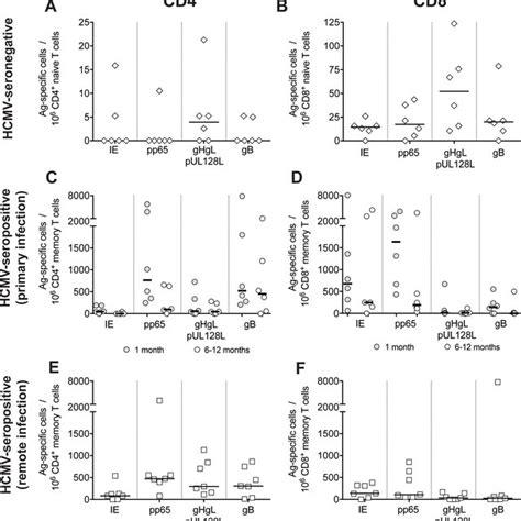Frequencies Of Cd4 And Cd8 T Cells Specific For Hcmv Proteins Ie 1
