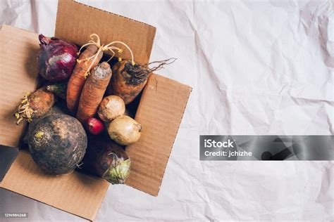 공예 종이 배경에 비 Gmo 야채의 전체 기부 상자 제로 폐기물 생산의 개념 공간을 복사합니다 퇴비 및 금형 개념 Dna에 대한 스톡 사진 및 기타 이미지 Istock