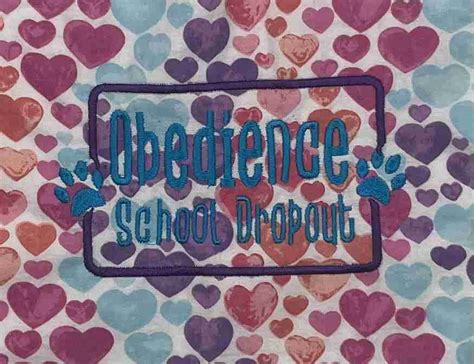 Obedience School Dropout National Newfoundland Rescue