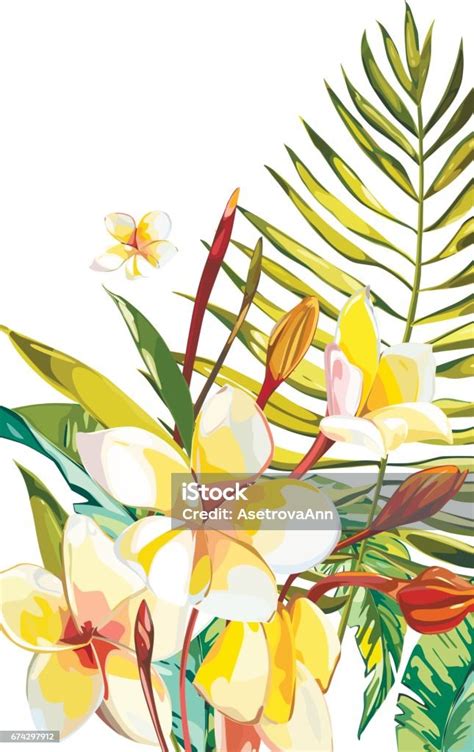배너 포스터와 팜 잎 정글 잎 및 Plumeria 꽃 아름 다운 벡터 꽃 열 대 여름 배경입니다 Eps 10 0명에 대한 스톡 벡터 아트 및 기타 이미지 Istock