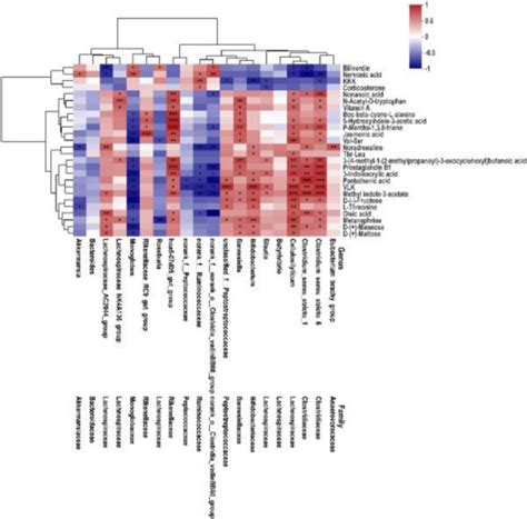 A Buffalo Rumen Derived Probiotic Sn 6 Could Effectively Increase Simmental Growth Performance
