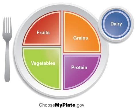 247 Nutrition And Diet Medicine Libretexts