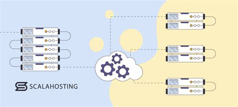 What Are The VPS Server Management Levels ScalaHosting Blog