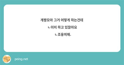 개짱모아 그거 어떻게 하는건데 ㄴ이미 하고 있잖아요 ㄴ조용히해 Peing 質問箱