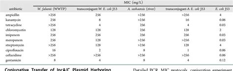 Table 2 From Propagation Of New Delhi Metallo β Lactamase Genes Blandm