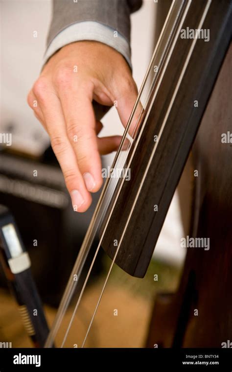 Strings Of A Double Bass Stock Photo Alamy