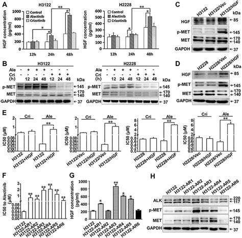 The Hgfmet Signalling Pathway Contributes To Resistance To Alectinib Download Scientific