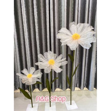 ดอกเดซี่ยักษ์เซ็ทละ3ดอก3ฐาน Jiraporn0825414746 Thaipick