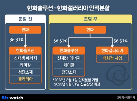 ‘뉴 한화 3형제 승계 작업 가시권