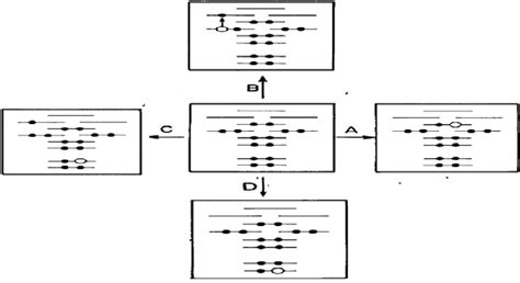 Electron Spectroscopy Of Molecular Processes Here The Centre Download Scientific Diagram