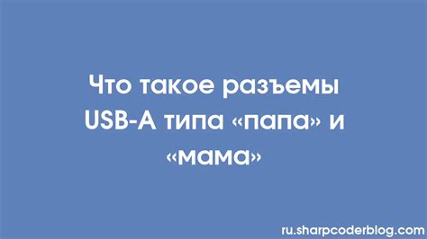 Что такое разъемы Usb A типа папа и мама Sharp Coder Blog