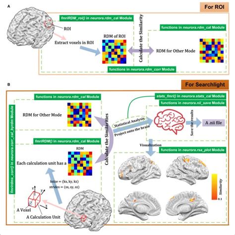 Schematic Diagram For Representational Analysis For Fmri Data Using Download Scientific