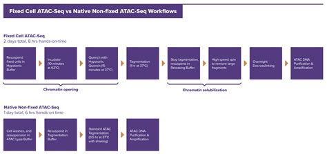 Fixed Cell Atac Seq Kit
