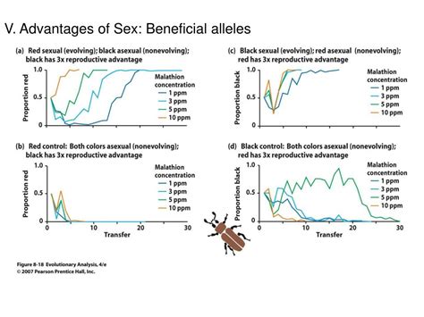 Ppt Evolution Of Sex Powerpoint Presentation Free Download Id