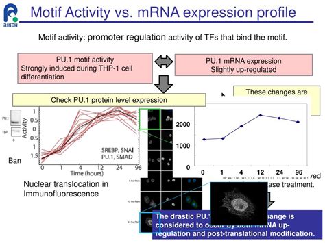 Ppt Next Generation Sequencers And Progress On Omics Research Powerpoint Presentation Id 7018525
