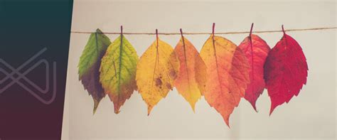 The Value Assessment Framework Part 2 • Deep Product