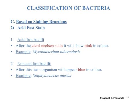 Bacteria Classification Of Bacteria Pdf