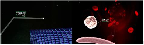 Intelligent Analysis System For Teaching And Learning Cognitive Engagement Based On Computer