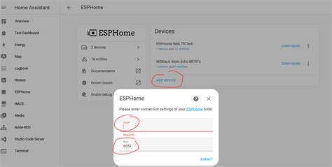 How Can I Understand Esphome Native Api Esphome Home Assistant Community