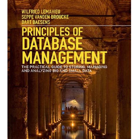 jual [eng29] principles of database management the practical guide to