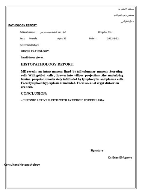 Pathology Report Pdf