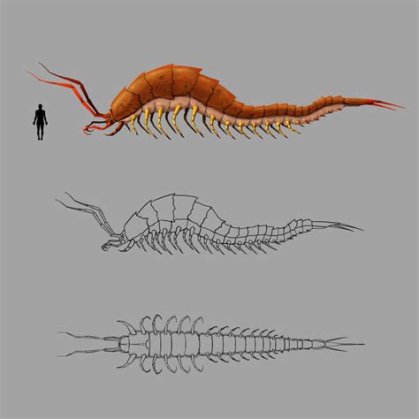 Artstation Giant Mutant Scolopendra Concept