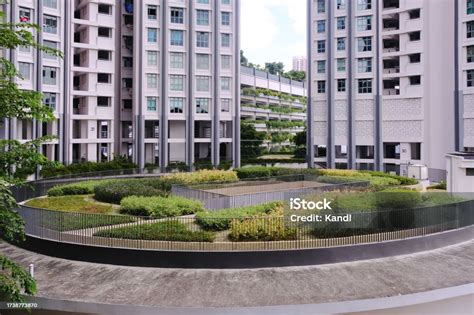 Hdb Flats Skyresidence In Dawson Estate District 3 Neighbourhood Modern