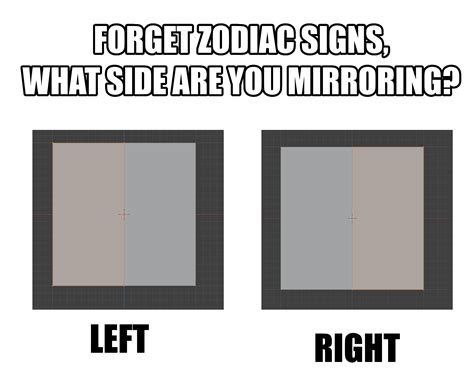 forget zodiac signs what side are you mirroring r blendermemes