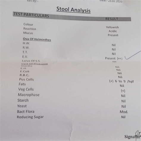 Normal Stool Test Results At Harrison Leschen Blog