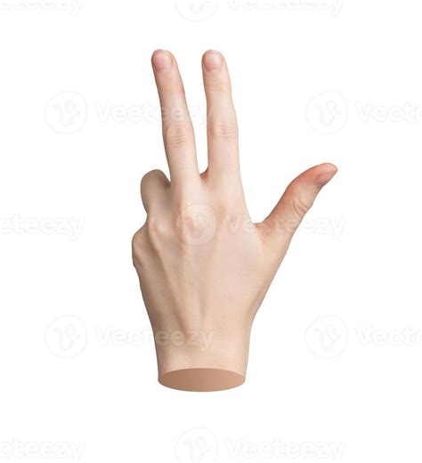 Three Fingers Up Hand Showing The Number 3 Isolated Sign Gesture On