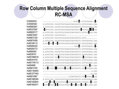 Ppt Multiple Sequence Alignment Construction Visualization And
