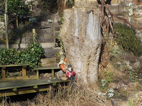 Why Need To Remove Tree Stump From Your Garden BeautyHarmonyLife