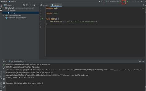 「2022 版」轻松搞定 Go 开发环境
