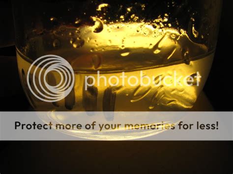 Sterilization Flytrapcare Forums