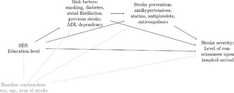 Dag Illustrating The Hypothesized Relationships Between The Variables Dag Illustrating The Hypothesized Relationships Between The Variables