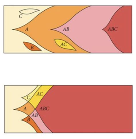 Bis223 Sex Conflict And Cooperation Flashcards Quizlet