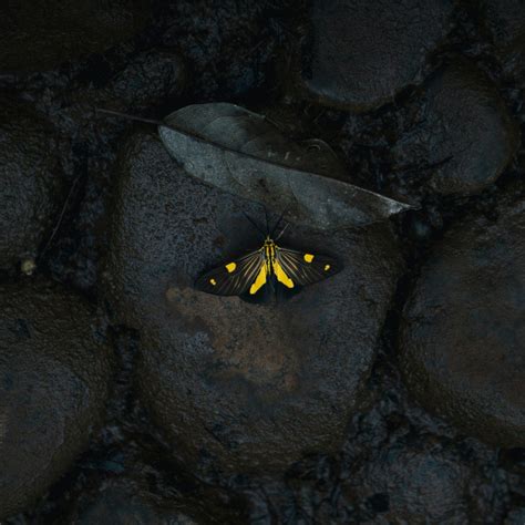 Latest Stories Published On Towards Data Science