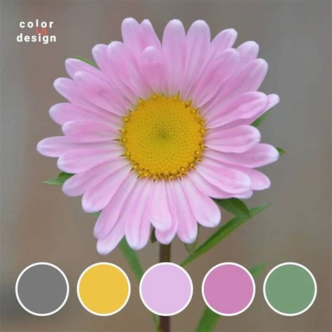 Сочетание цветов салатовый кремовый мандариновый светло серый Color Schemes Colour Palettes