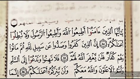 يا أيها الذين آمنوا أطيعوا الله و أطيعوا الرسول و لا تبطلوا أعمالكم