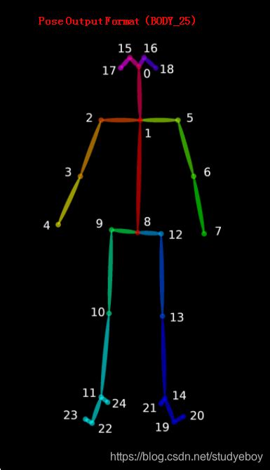 Openpose没有root权限如何安装openpose Csdn博客
