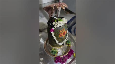 Visit In The Banode Mahadev Una Hp Youtube