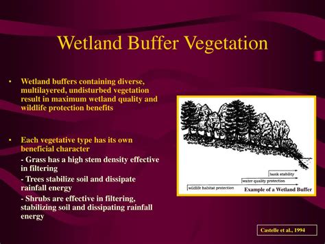 Ppt Benefits Of Continued Virginia Coastal Zone Wetland Buffer