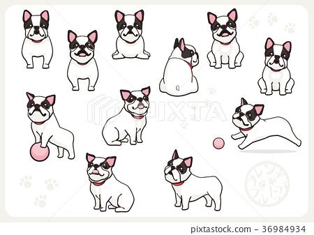 斗牛犬插画 斗牛犬卡通 伤感说说吧