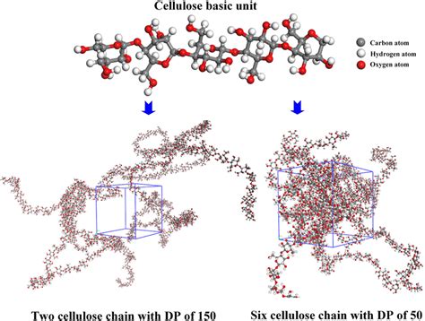 Amorphous Region Of Cellulose Models Download Scientific Diagram