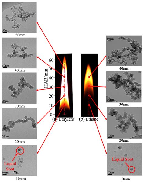 Effects Of Oxygen Concentration On Soot Formation In Ethylene And