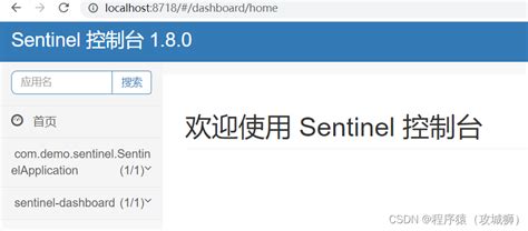 springboot集成sentinel dashboard的配置 ntinel api port 8719 dcsp