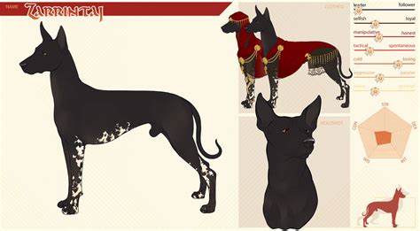 Ta Zarrintaj Dane By Juinebug On Deviantart