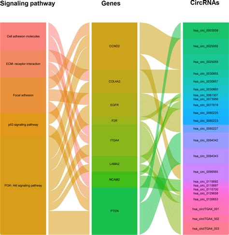 The Alluvial Sankey Plot Demonstrated The Relationships Between The Alluvial Sankey Plot Demonstrated The Relationships Between