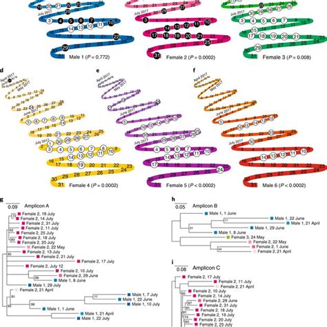 Diversity Of Crassphage Strains In Metagenomic Samples Strains For Download Scientific Diagram