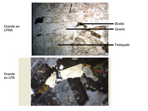 Calaméo Granite Au Microscope Polarisant